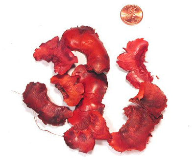 Coco Petal Orange – TheMagickalEarth