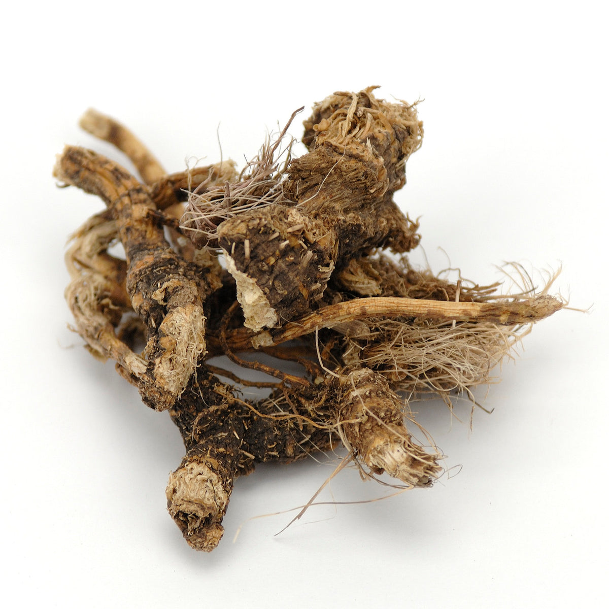 Osha Root – TheMagickalEarth